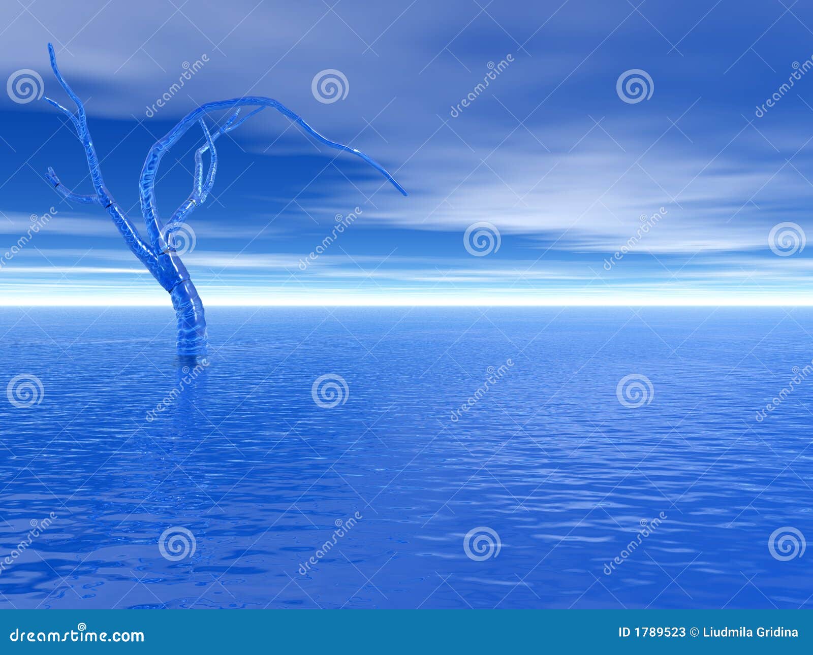 Schup_SS Picture. Image: 1789523