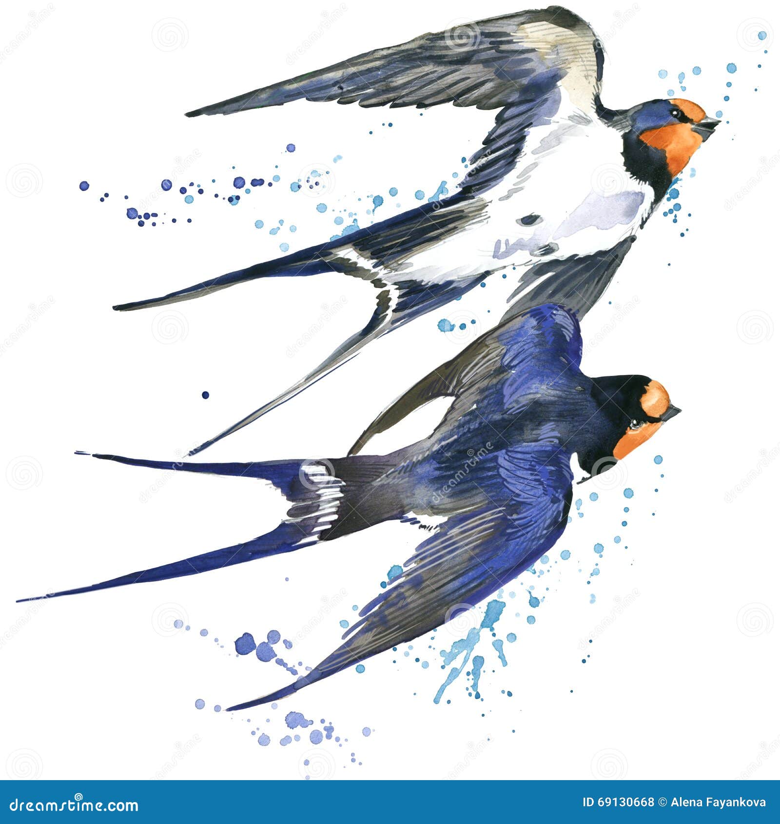 Schwalbe Schwalbenaquarellillustration Stock Abbildung - Illustration ...