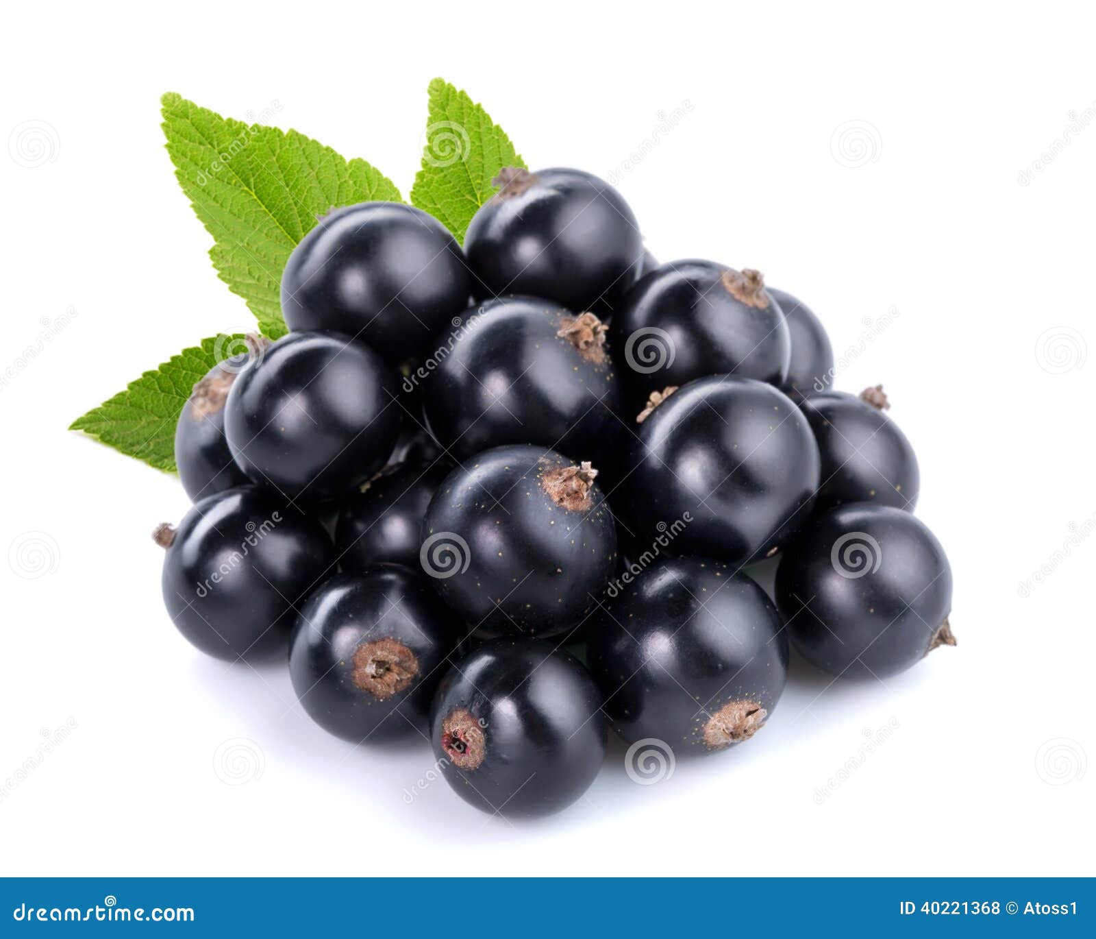 Schwarze Johannisbeeren stockfoto. Bild von nahrung, frisch - 40221368