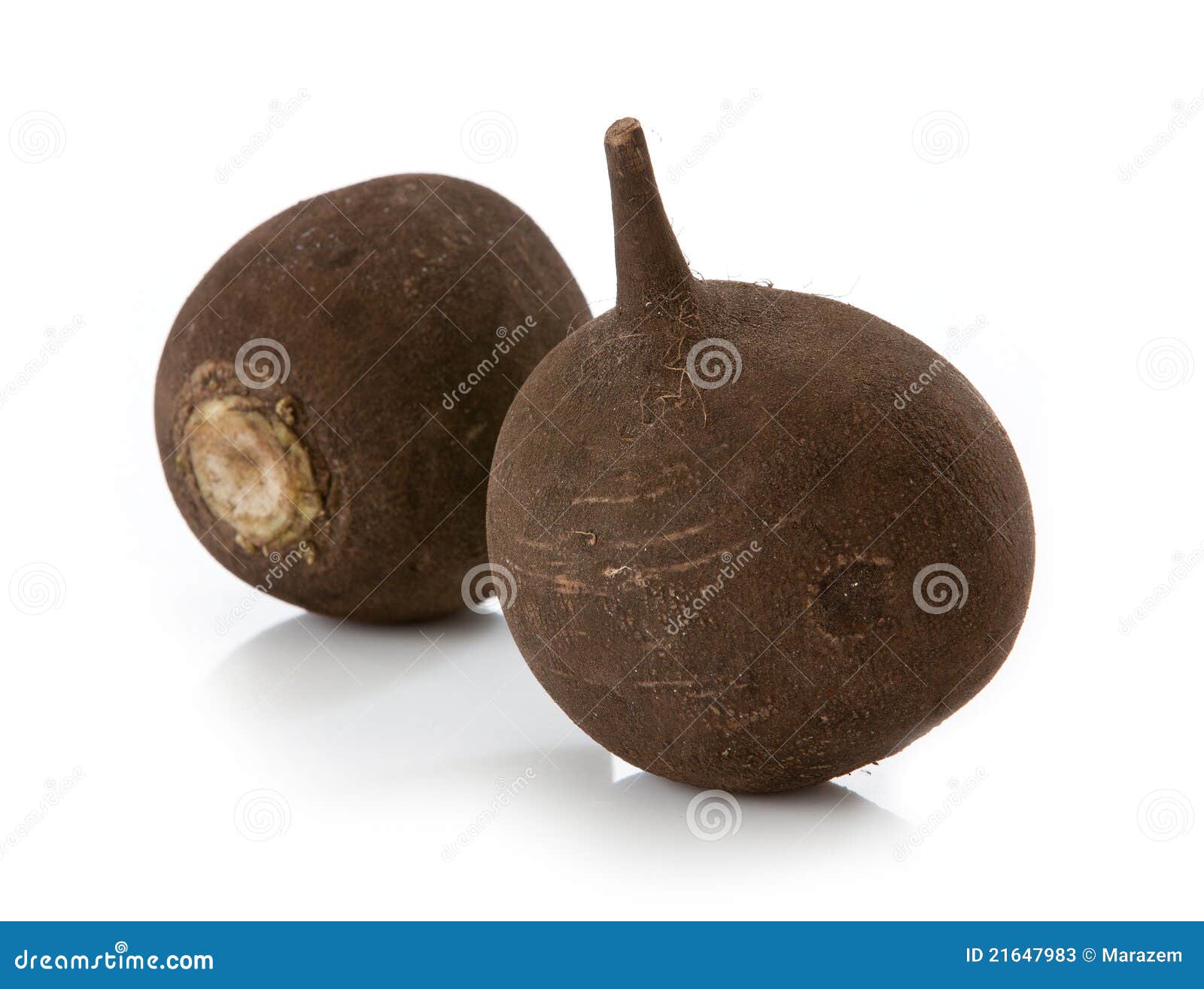 Schwarzer Rettich stockbild. Bild von nahaufnahme, vegetarier - 21647983