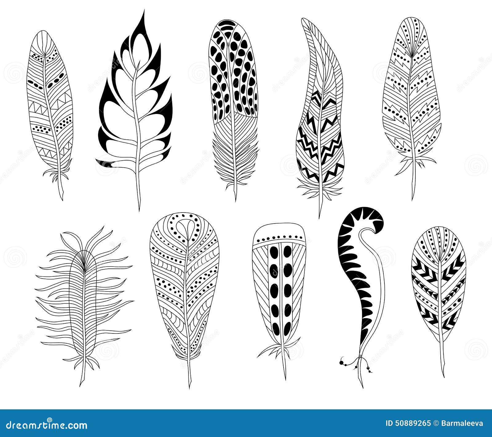 Schwarzweiss-Federn vektor abbildung. Illustration von verzierung ...