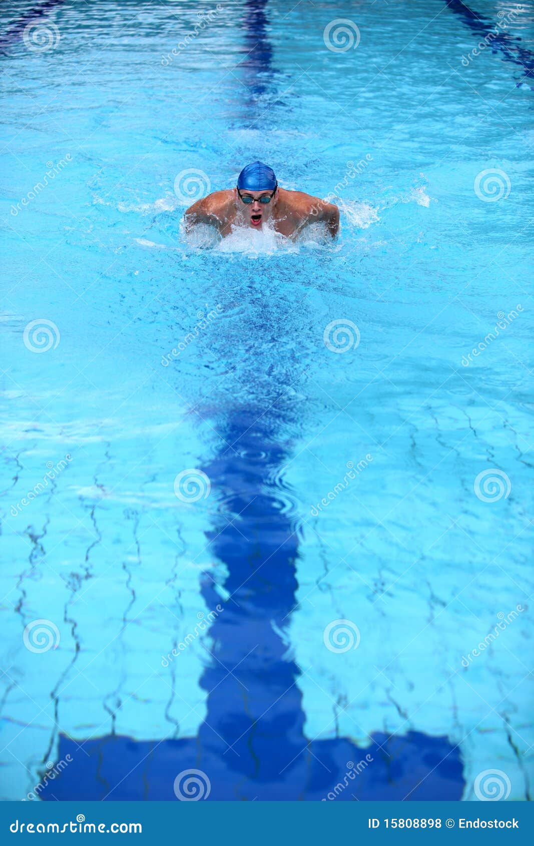 Schwimmer im Swimmingpool stockfoto. Bild von basisrecheneinheit - 15808898