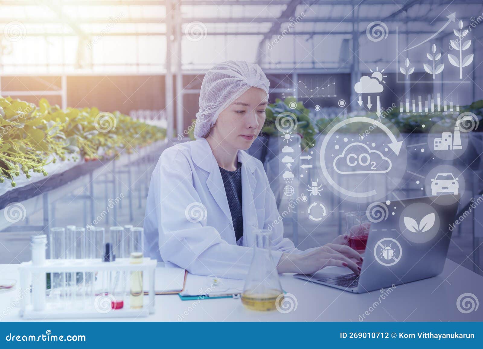 Science and Agriculture Plantation Research for Productivity ...