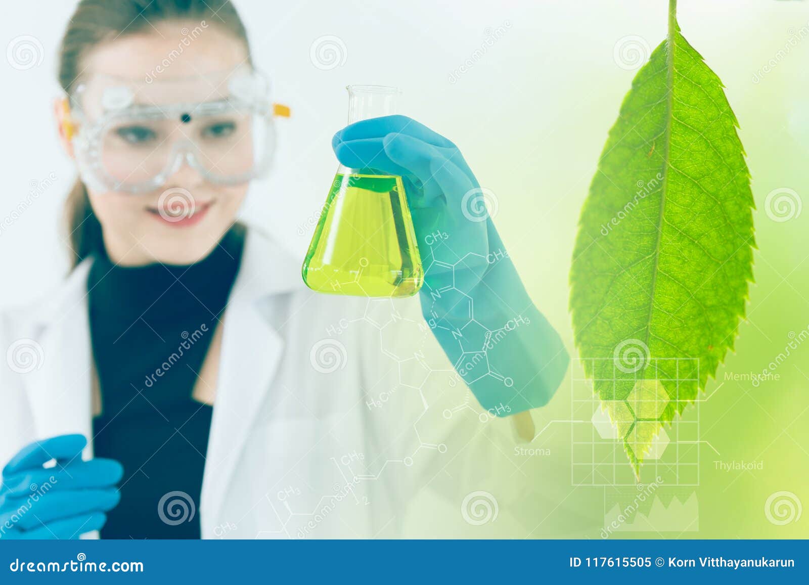 Science and Bio Technology of Green Nature Herbal Extraction Stock ...