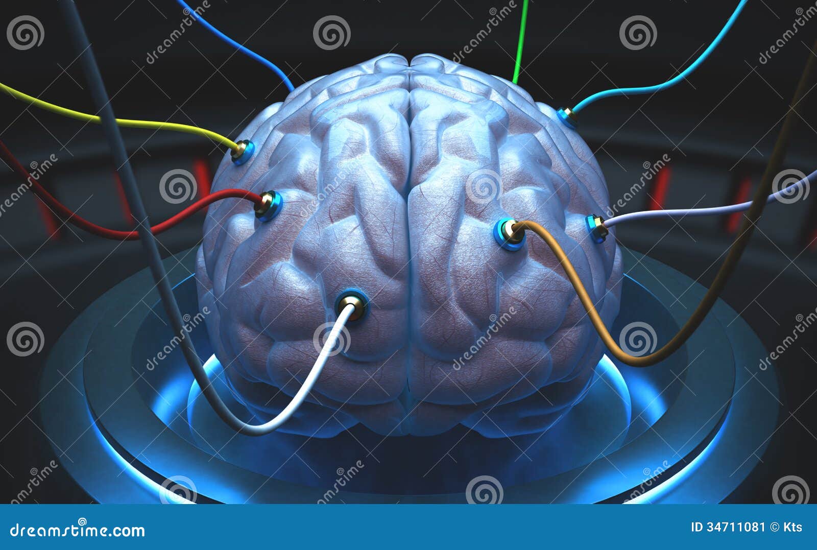 Science Brain stock image. Image of power, mind, creativity - 34711081