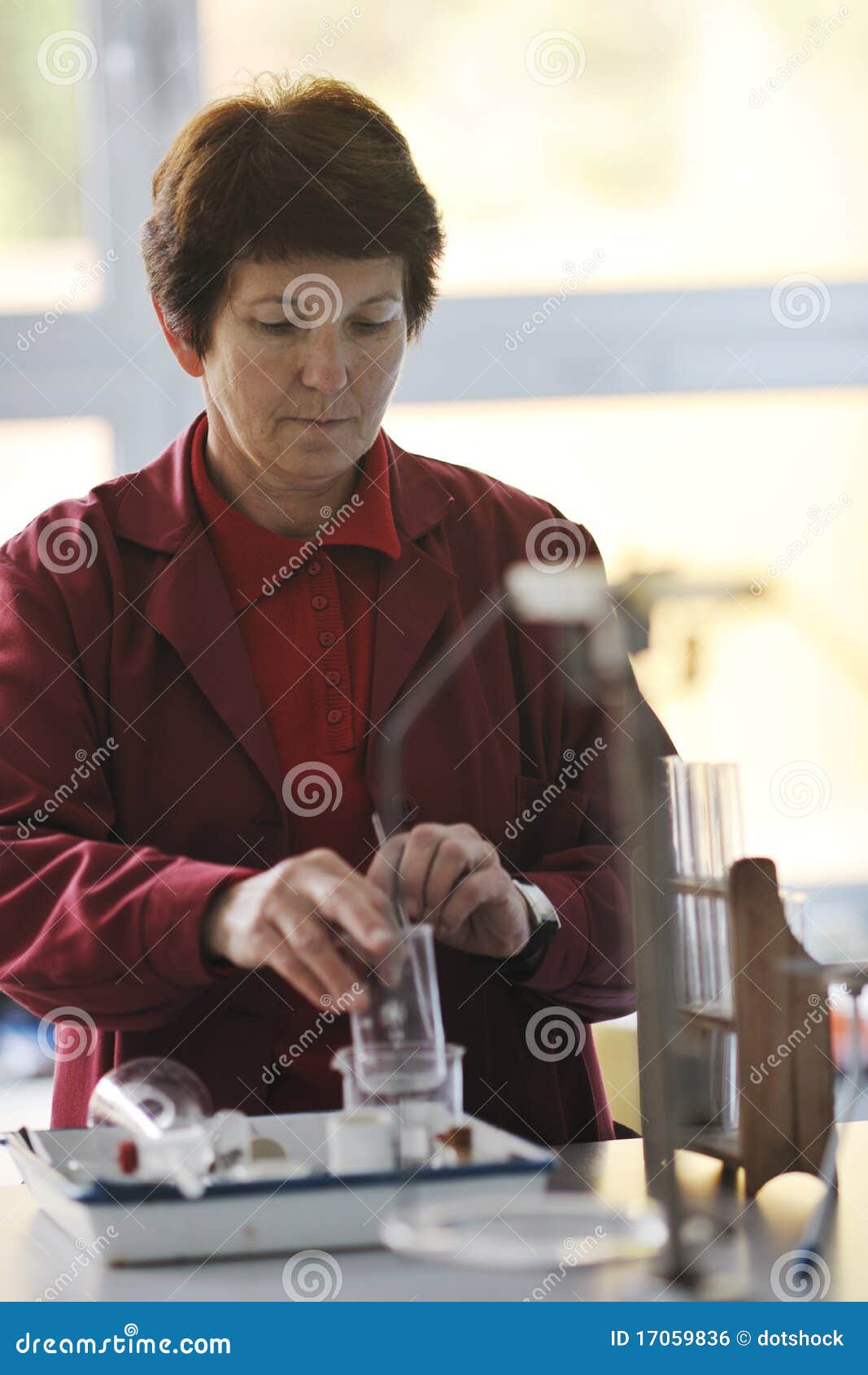 Science and Chemistry Teacher Portrait Stock Photo - Image of adult ...