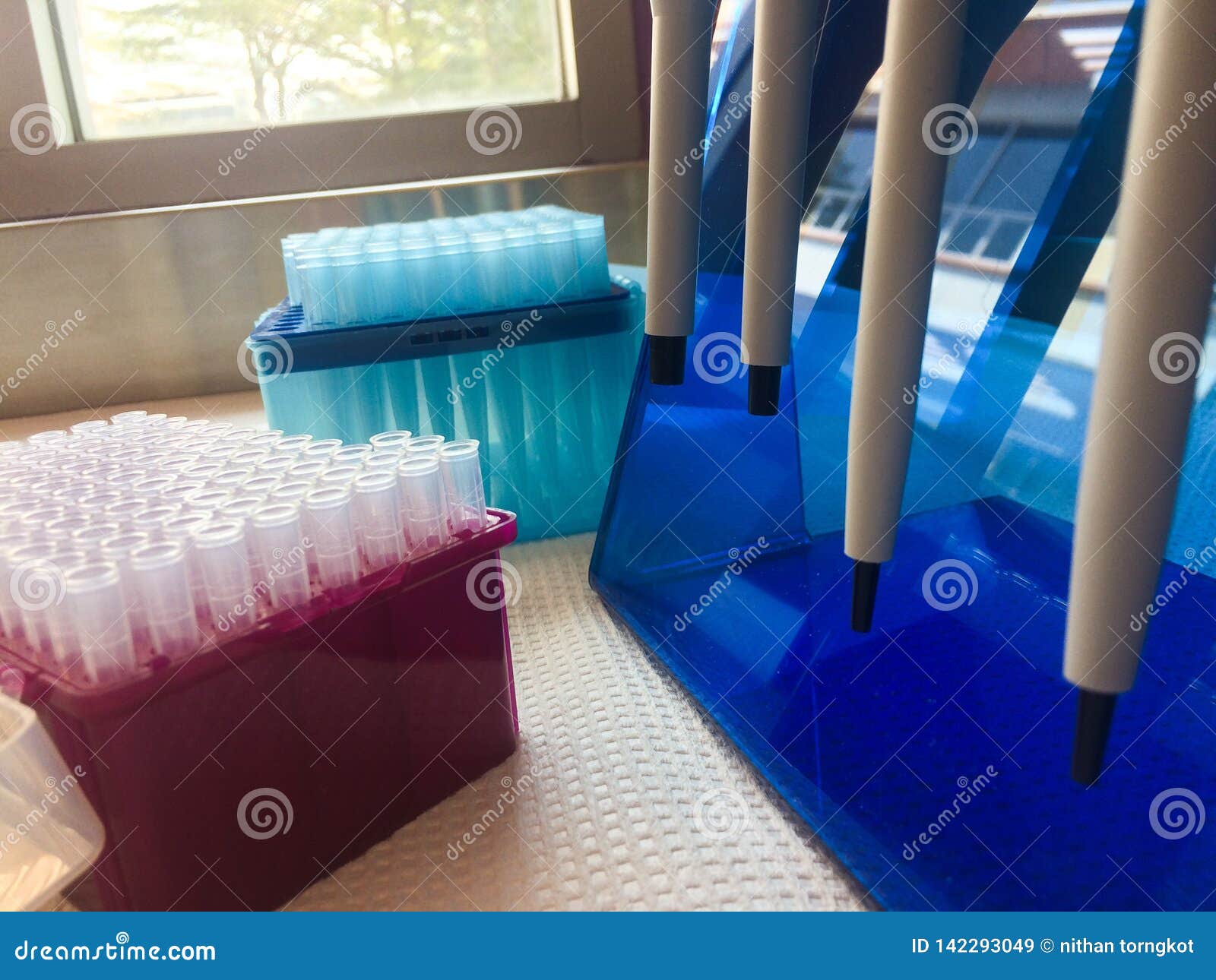 Science Devices in Laboratory Stock Image - Image of laboratory, nature ...
