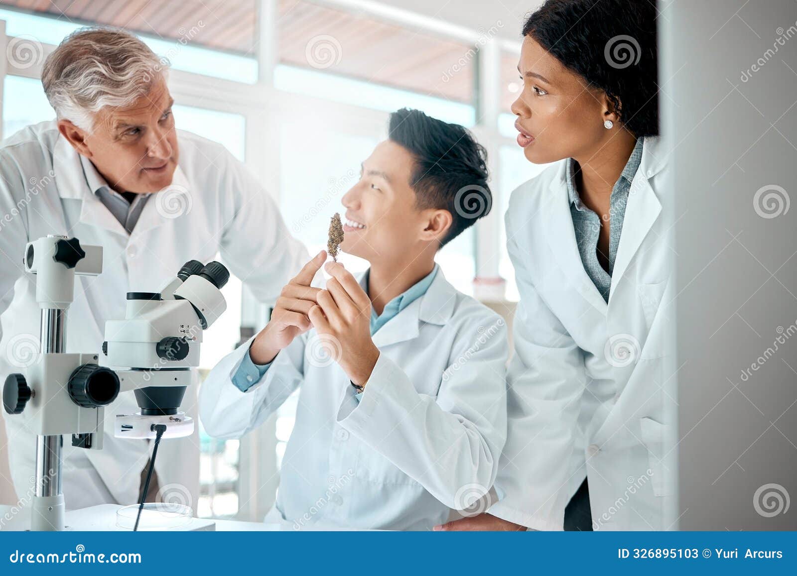 Science, Discussion and People with Cannabis in Lab for Research ...