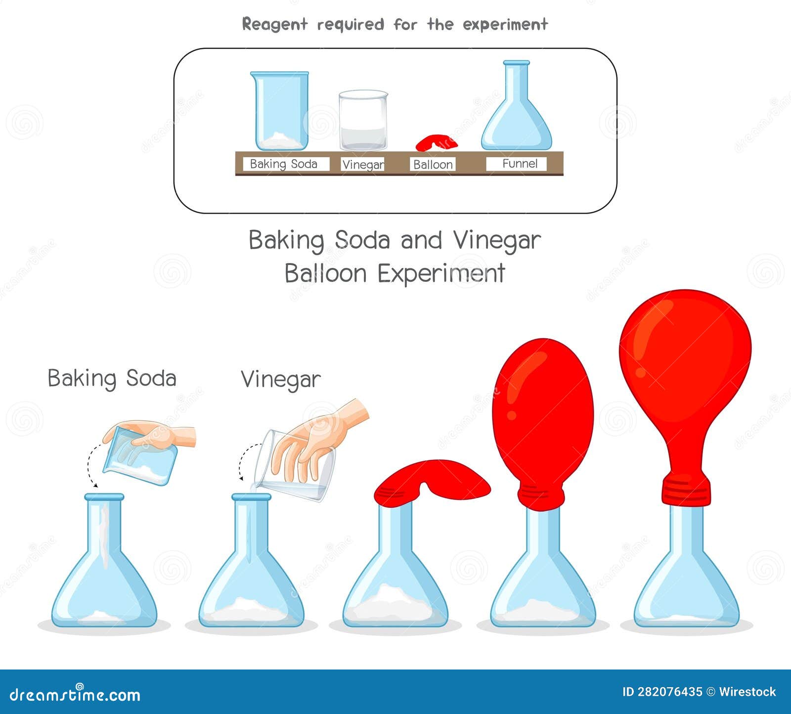 Science Experiment Featuring Baking Soda and Vinegar is Being Conducted ...