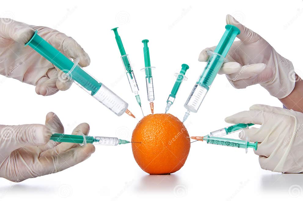 Science Experiment with Orange Stock Photo - Image of biology, color ...