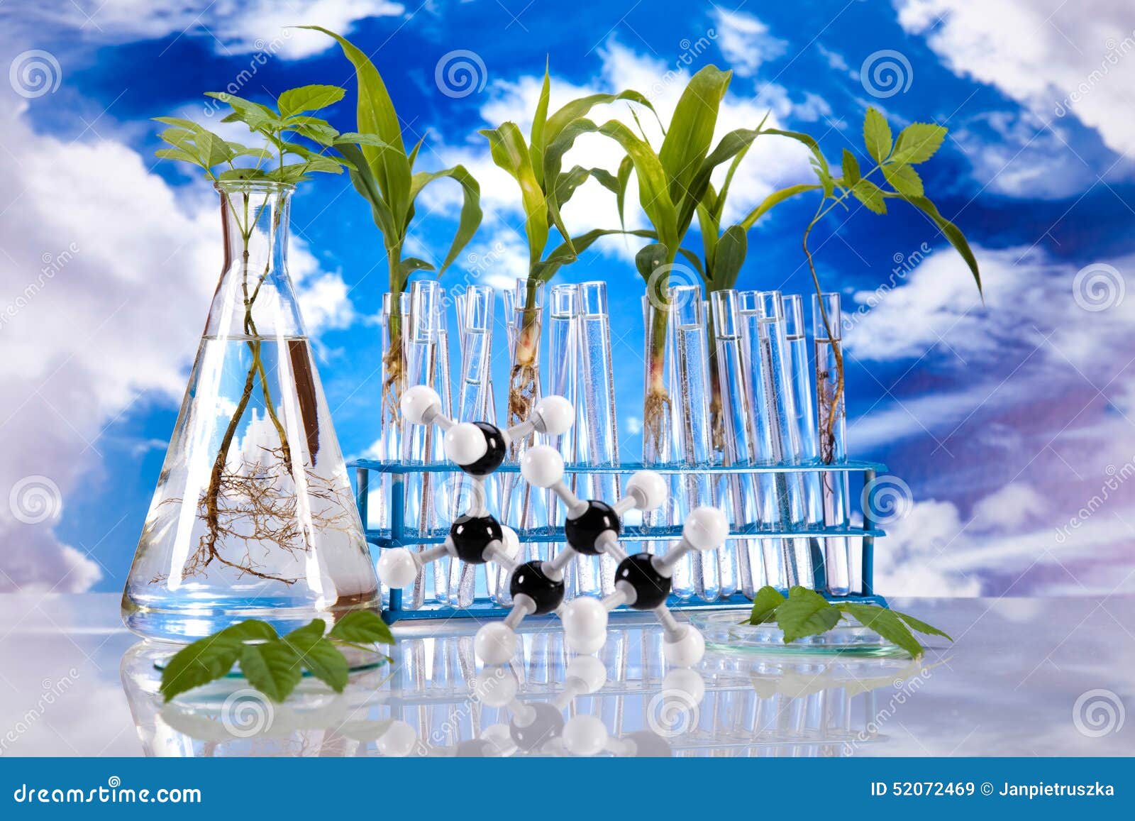 Science Experiment with Plant Laboratory Stock Image - Image of ...