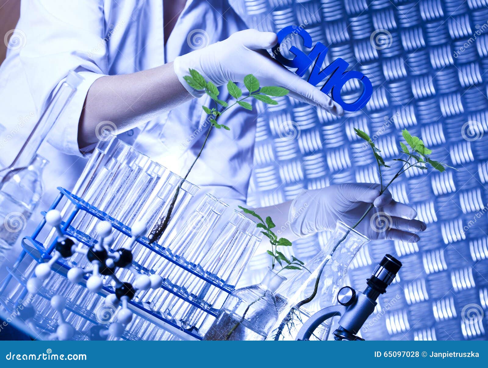 Science Experiment with Plant Laboratory Stock Photo - Image of ...