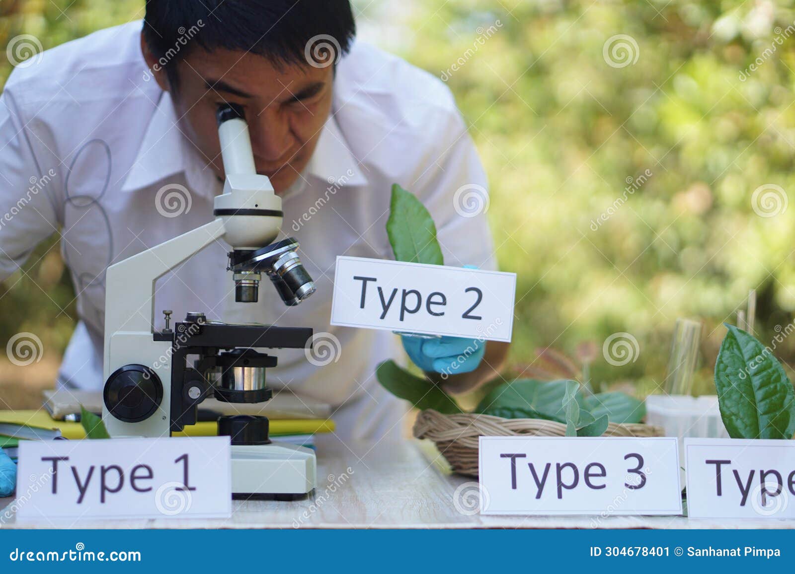 Science Experiment by Using Microscope To Inspect Type of Leaves. Stock ...