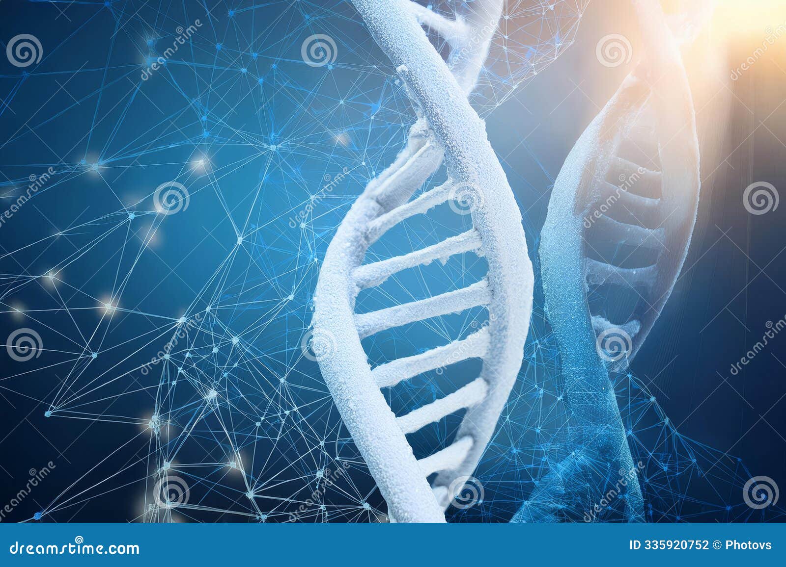 Science of Genetic Human Code Spiral Molecule Structure DNA Stock Photo ...
