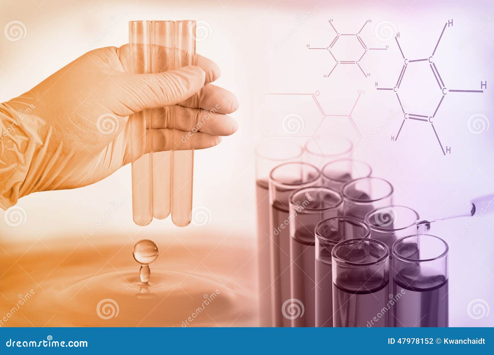 Science Hand Holding Laboratory Test Tubes Stock Photo - Image of ...