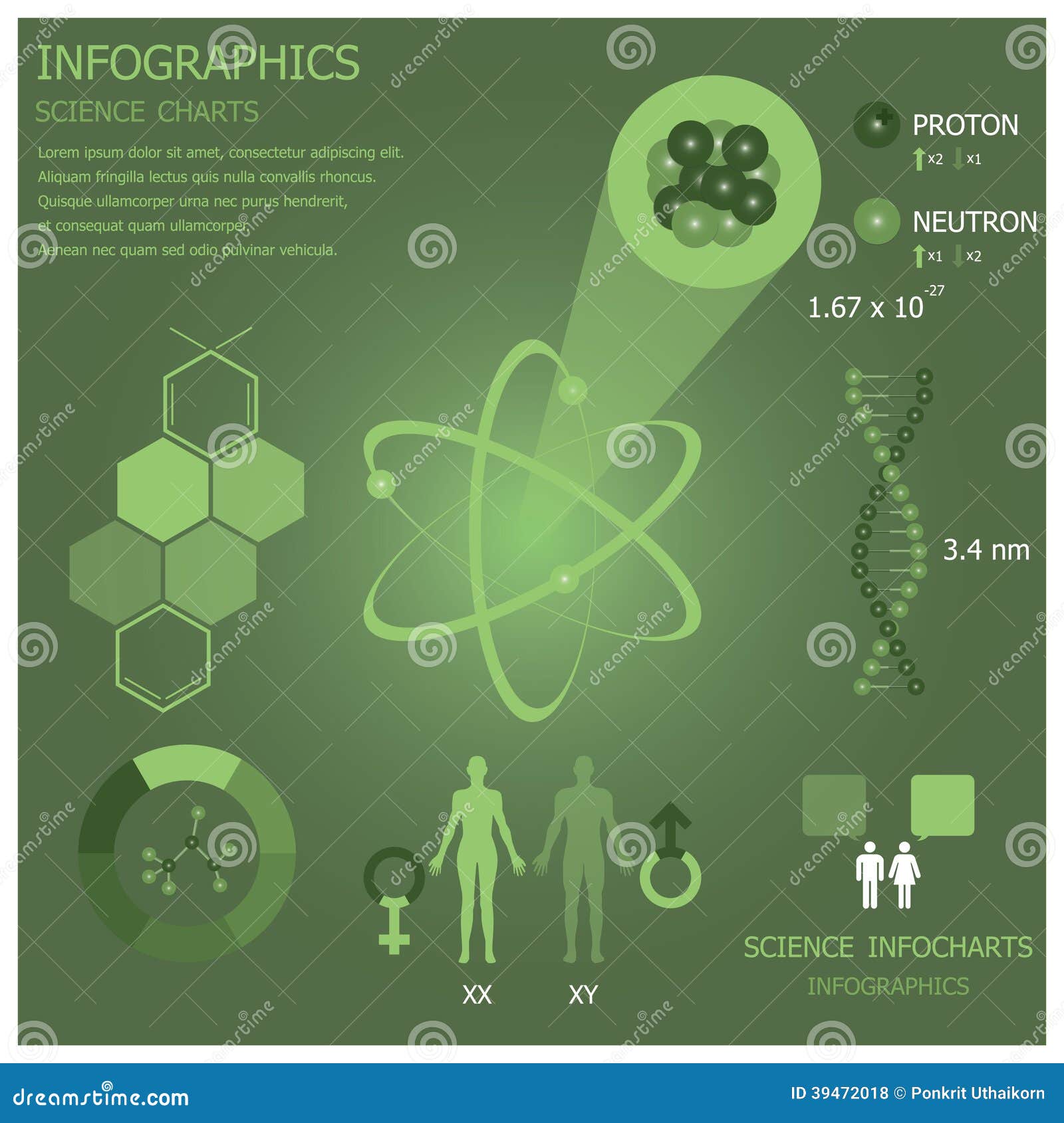 Science Infographic Infocharts Stock Vector - Illustration of concept ...