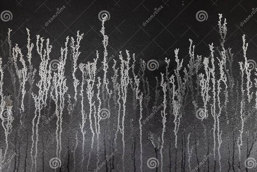 Science Lab Caused by Fire. Stock Image - Image of building ...