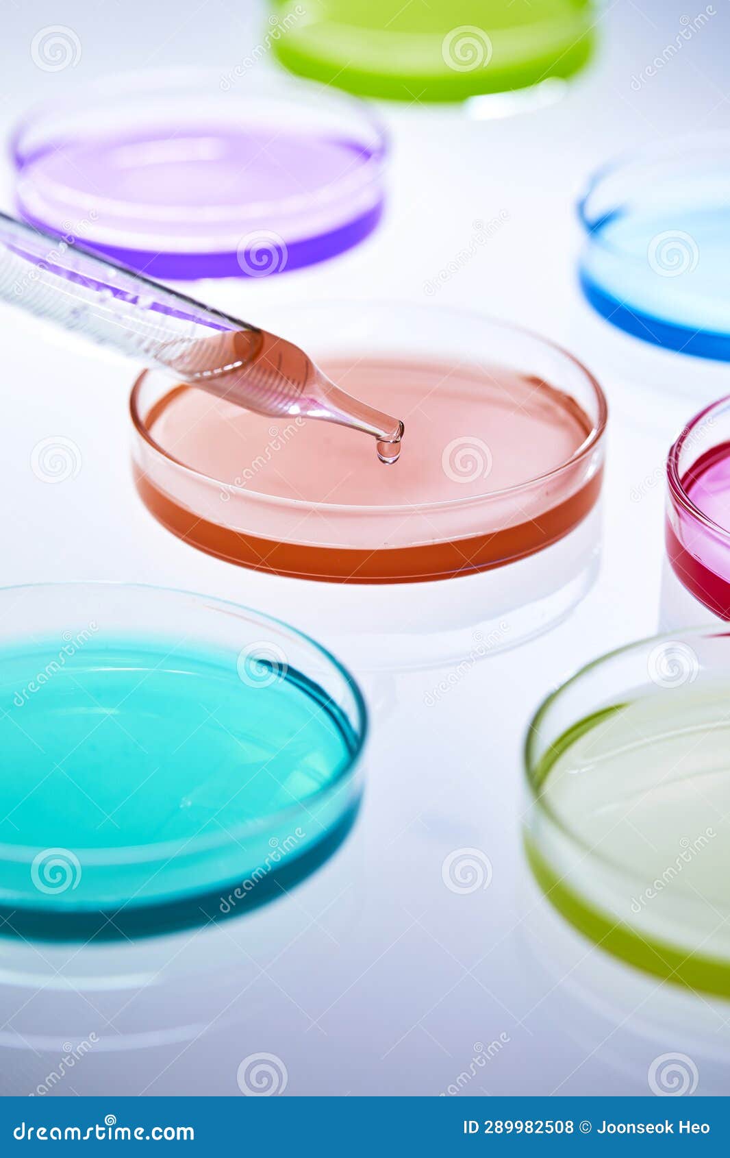 Science Laboratory with Beaker and Dropper Stock Photo - Image of ...