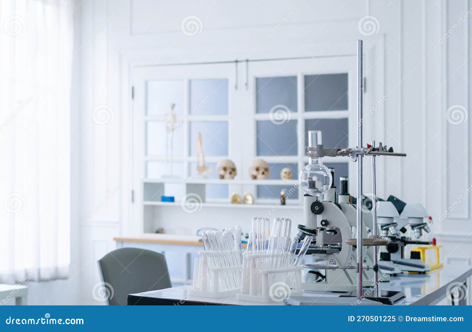 Science Laboratory, Microscope and Test Tubes on the Working Table ...