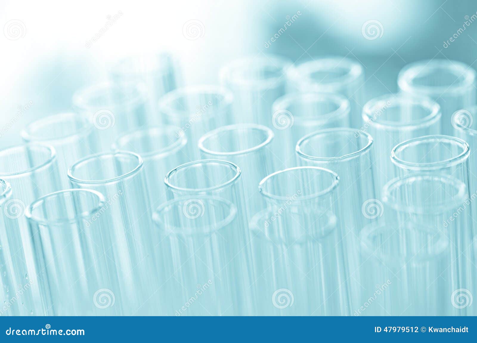 Science Laboratory Test Tubes in Clear Tone Stock Photo - Image of ...