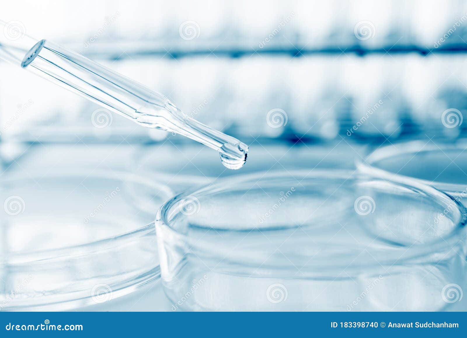 Science Laboratory Test Tubes , Laboratory Equipment Stock Photo ...