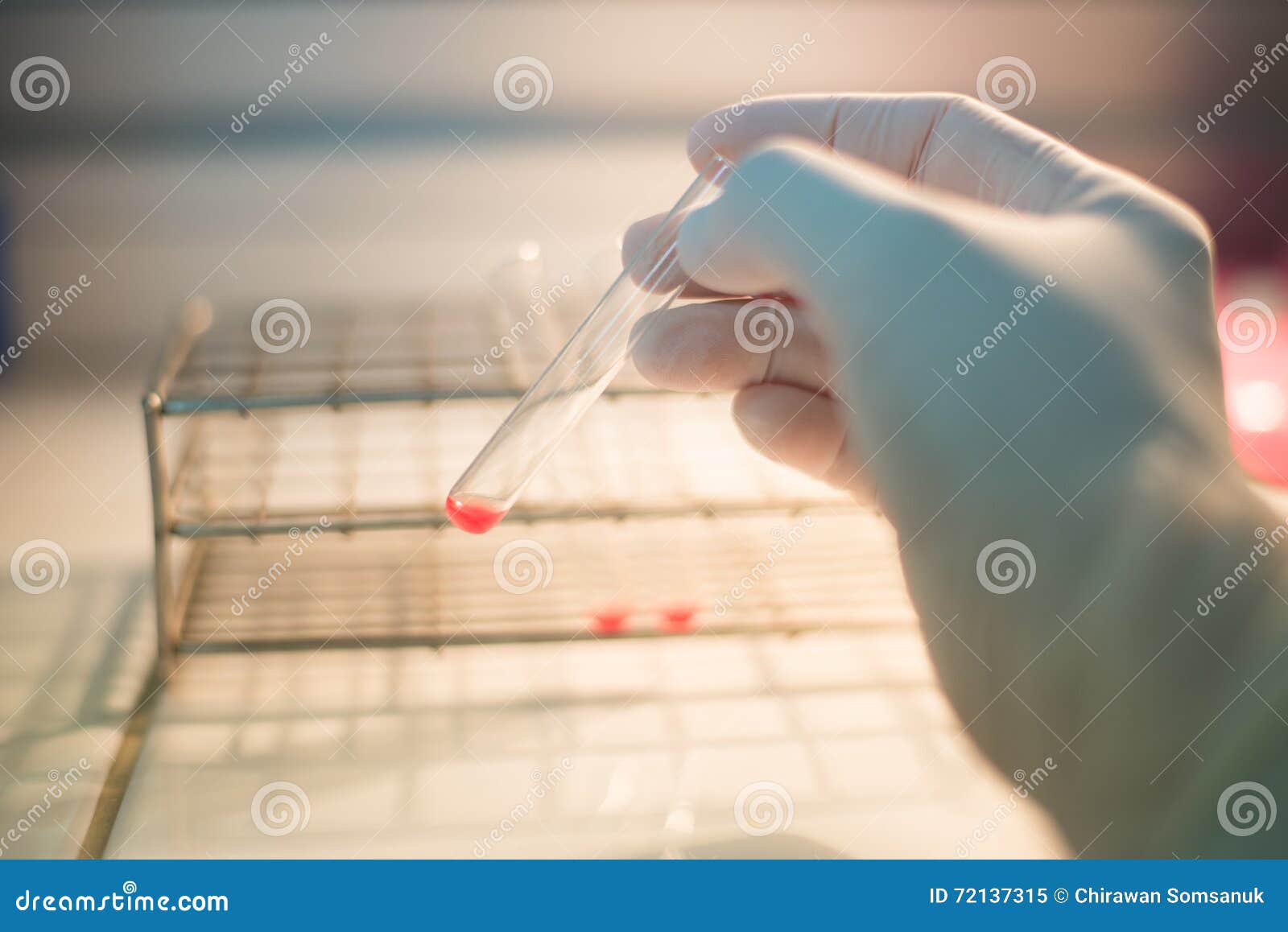 Science Laboratory Test Tubes Stock Image - Image of green, biology ...