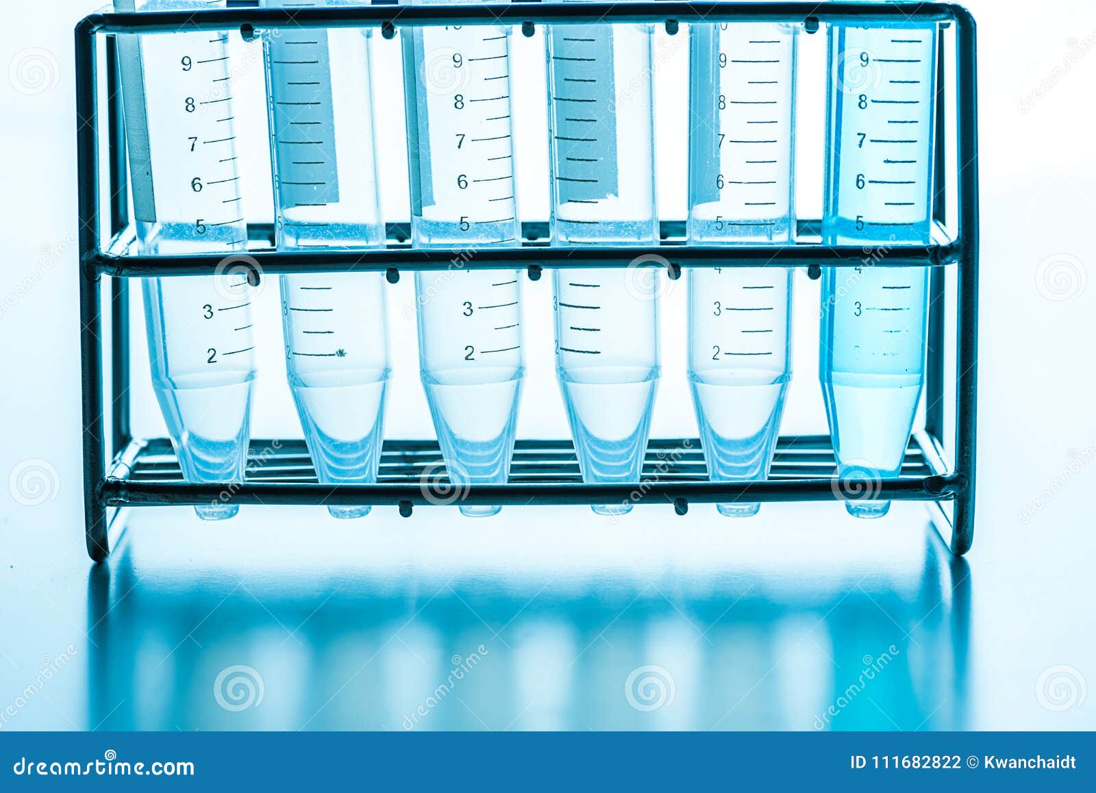 Science Laboratory Test Tubes in Rack Stock Photo - Image of research ...