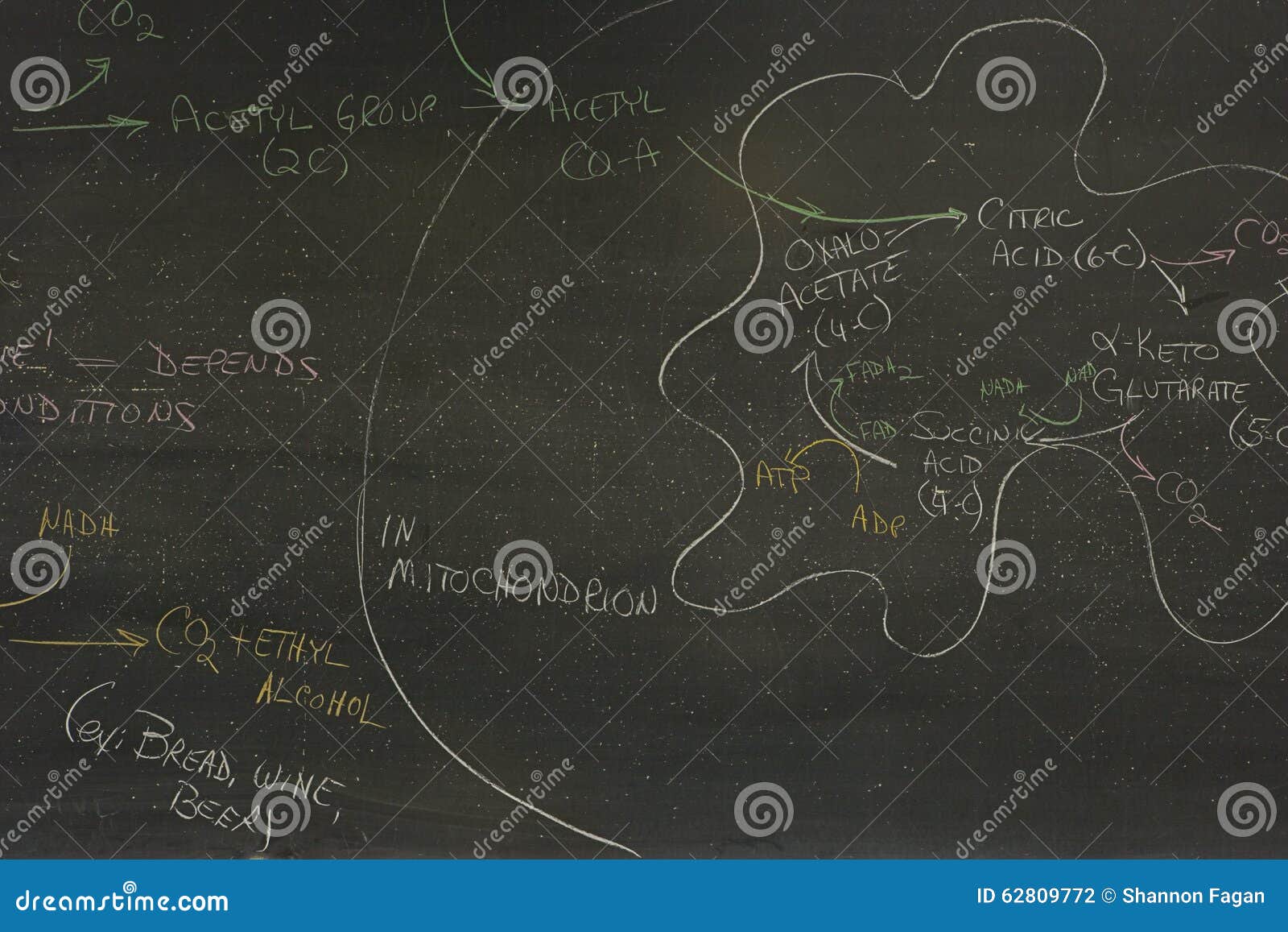 Science Lesson Written on a Blackboard Stock Illustration ...