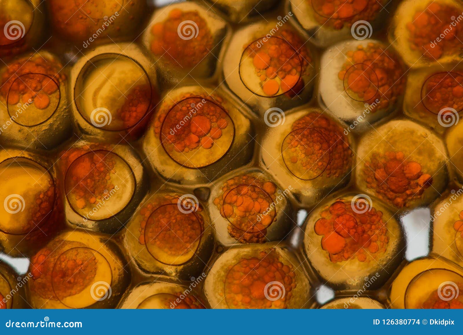 Science stock photo. Image of care, genetic, cell, proteins - 126380774