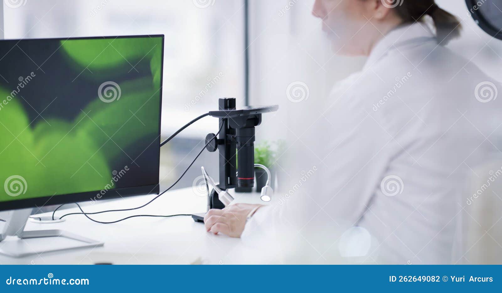 Science, Microscope and Plant Research with Computer Screen for ...