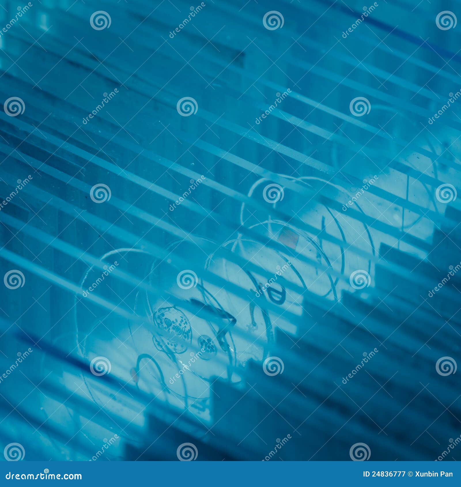 Microscope Slide Staining Tissue Biopsy For Diagnosis In Pathology ...