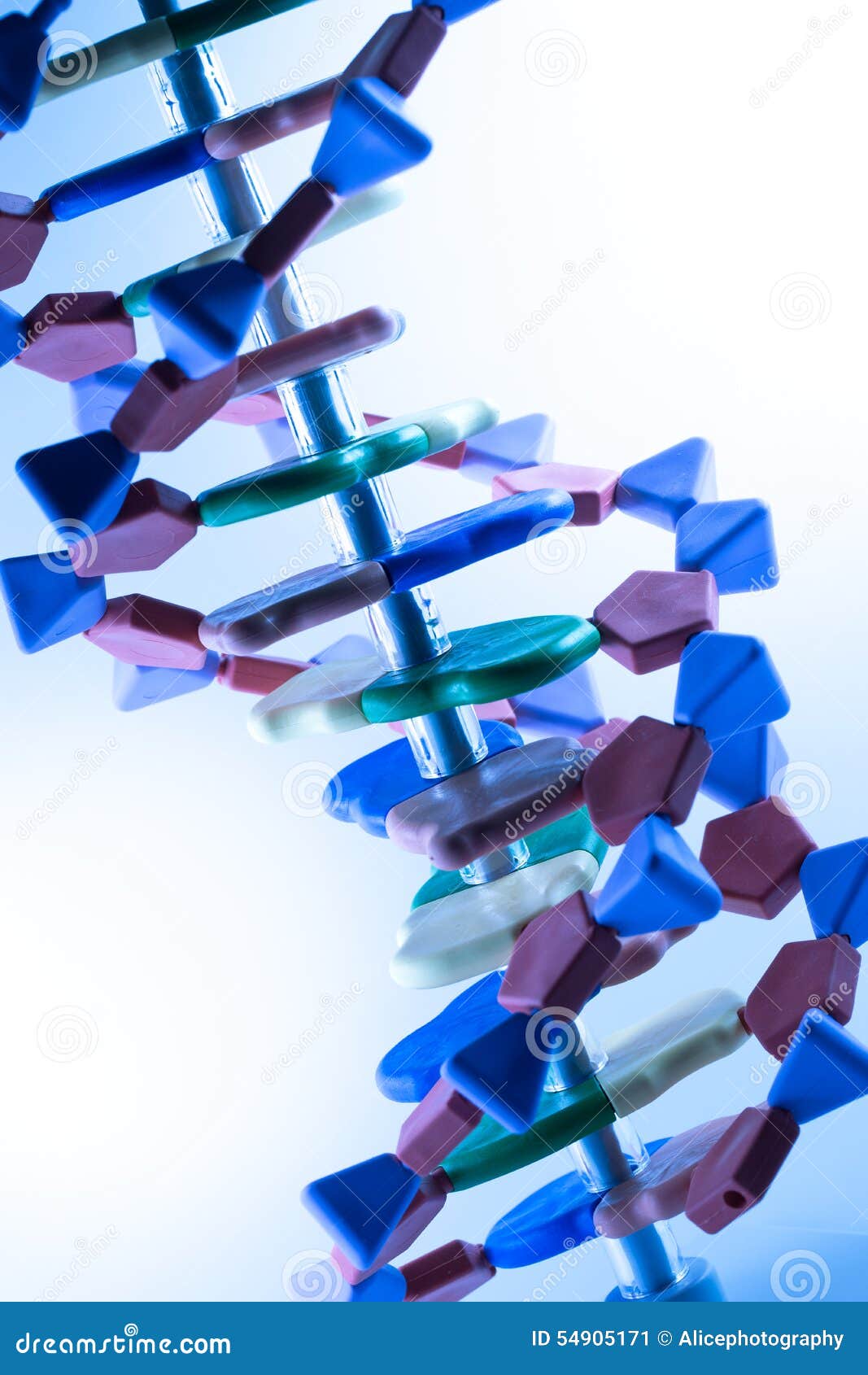 Science Molecule DNA Model Structure, Business Teamwork Concept Stock ...