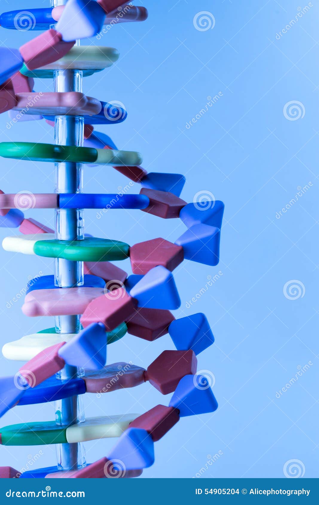 Science Molecule DNA Model Structure, Business Teamwork Concept Stock ...
