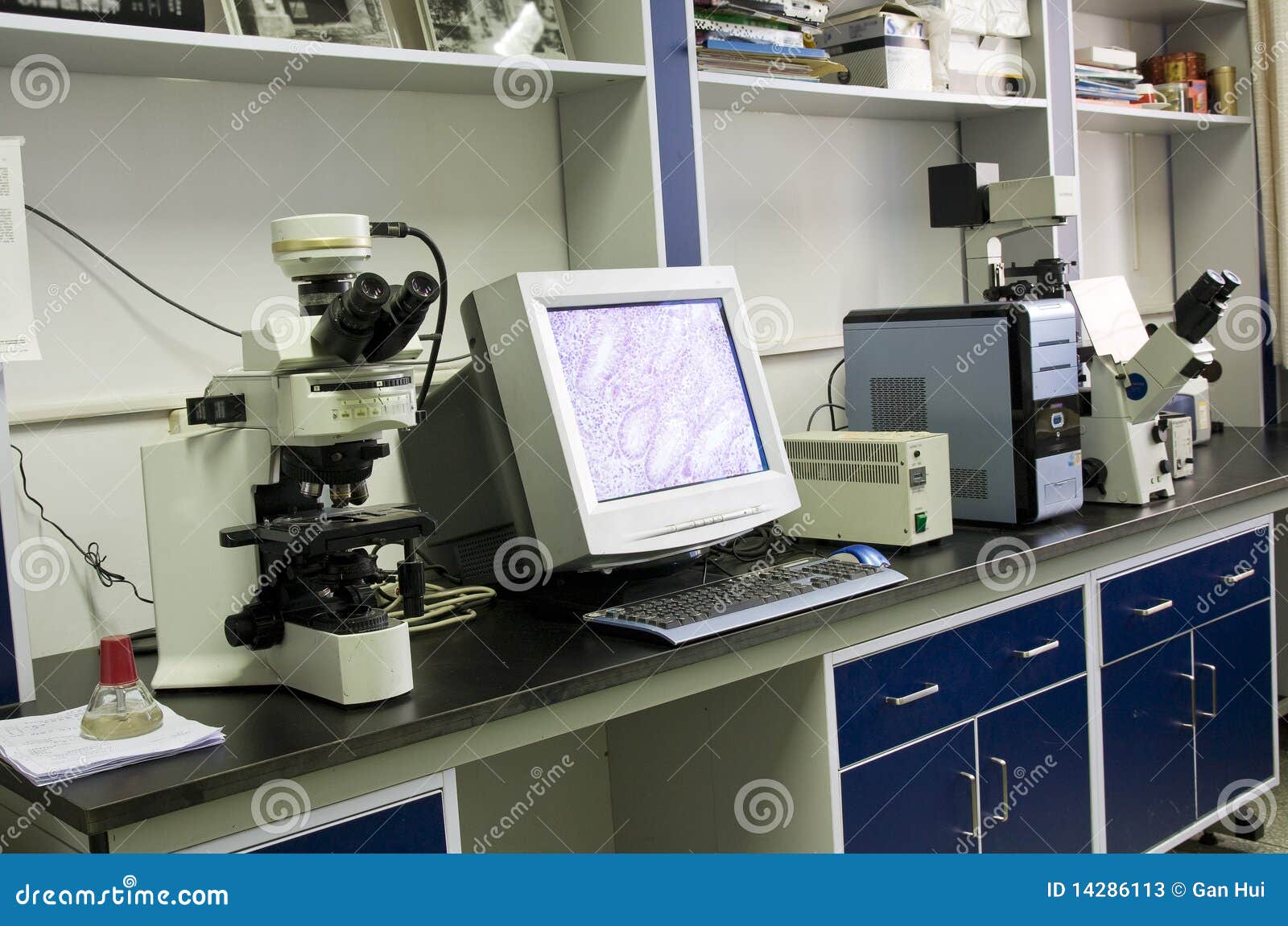 Science office stock image. Image of computer, efficiency - 14286113