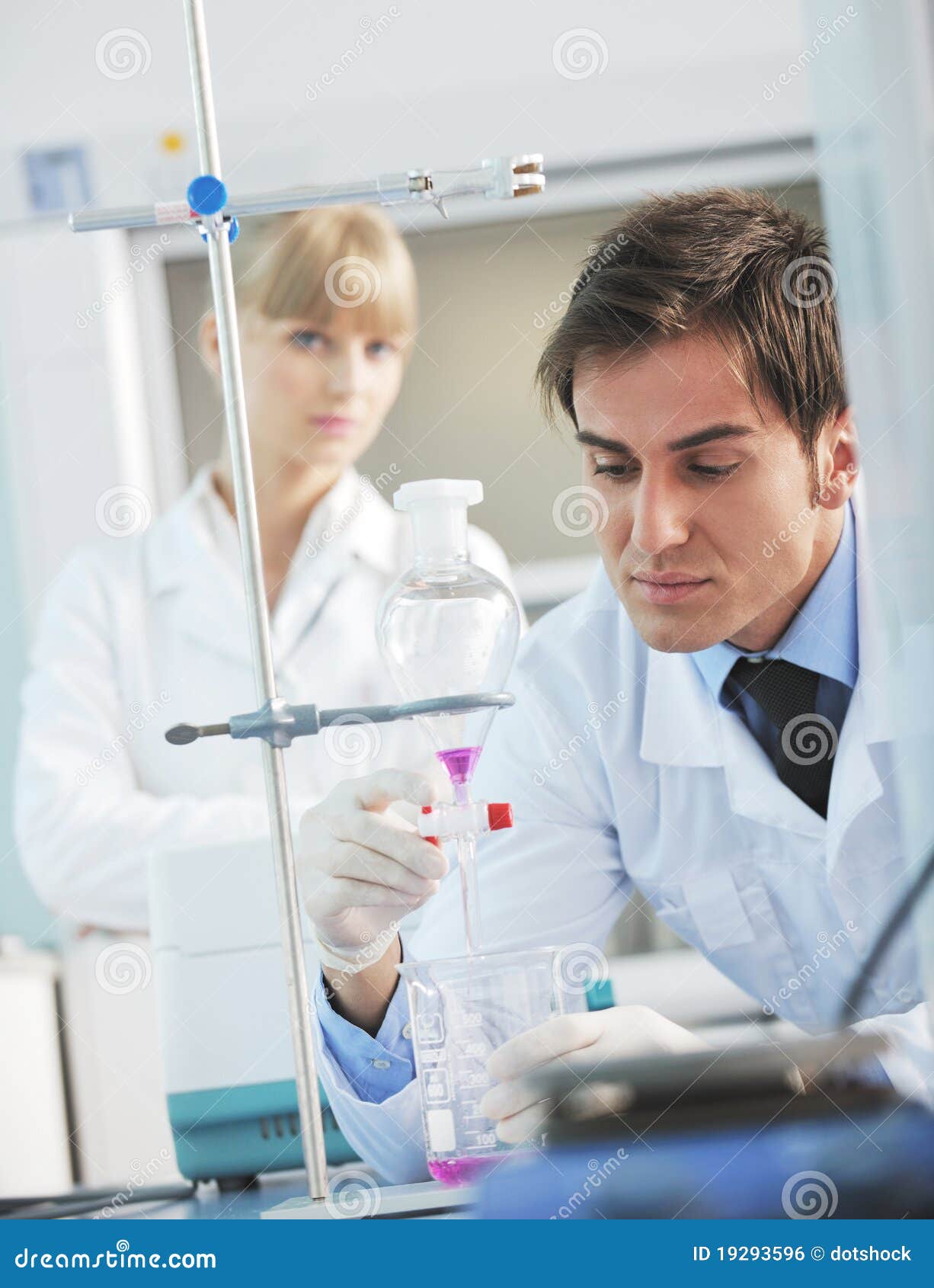 Science People in Bright Lab Stock Photo - Image of doctor, expertise ...
