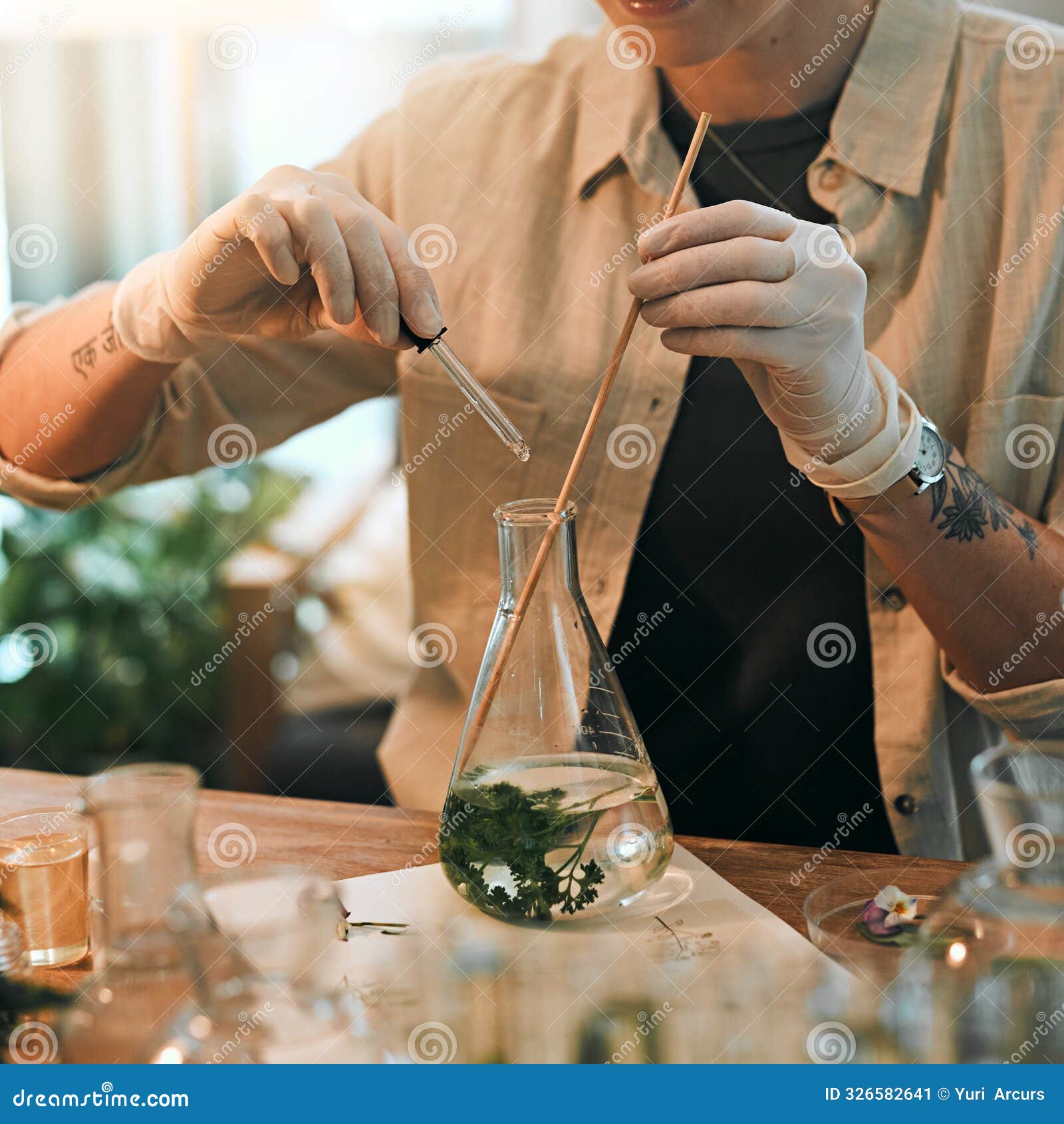 Science, Person and Hand with Plants in Beaker for Hydroponic ...