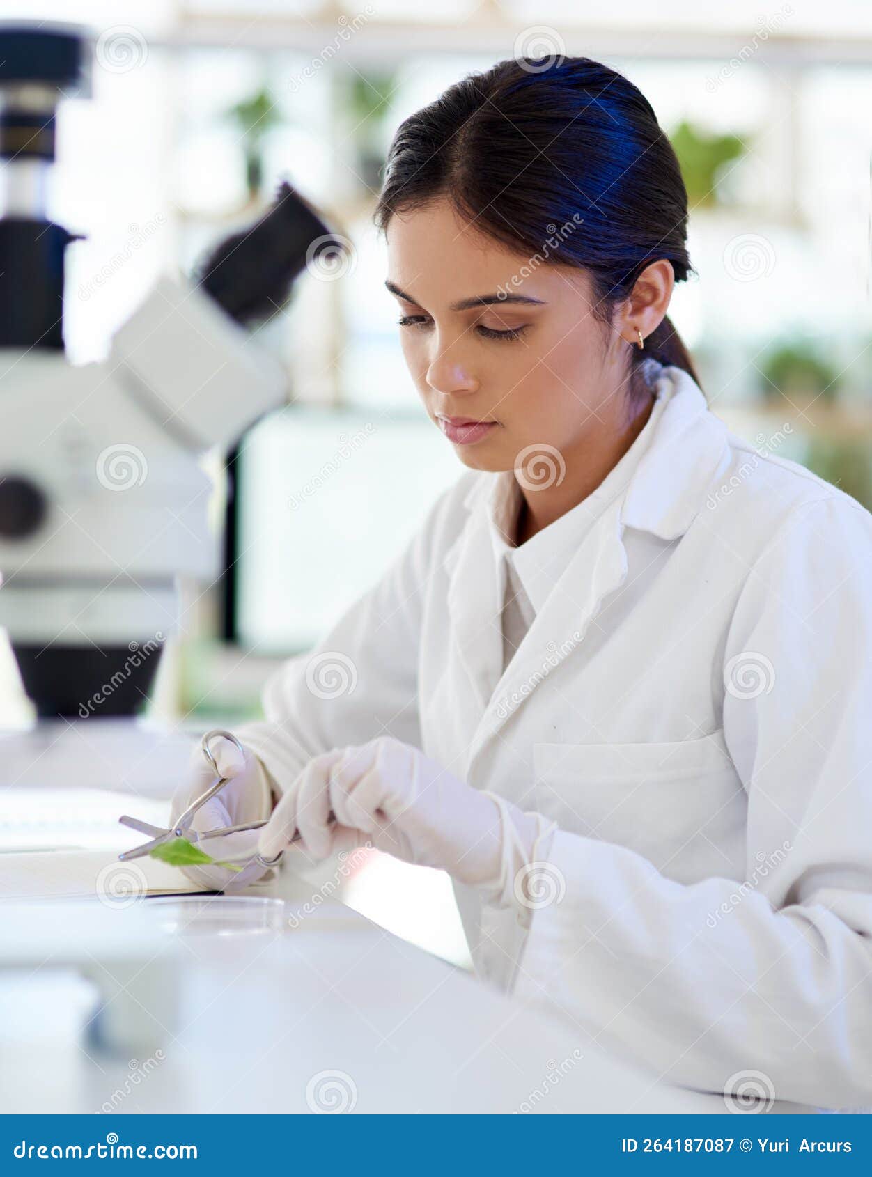 The Science of Plant Life. a Young Scientist Working with Plant Samples ...