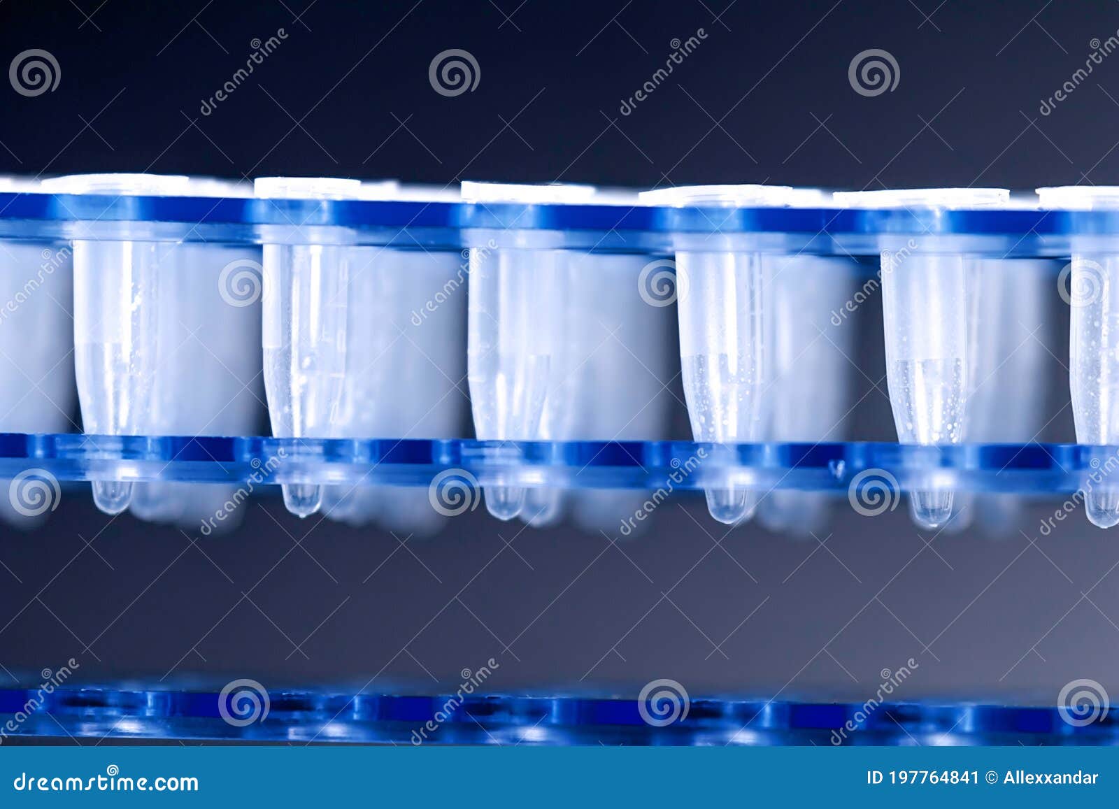 Science Plastic Test Centrifuge Tubes Stock Image - Image of analysis ...