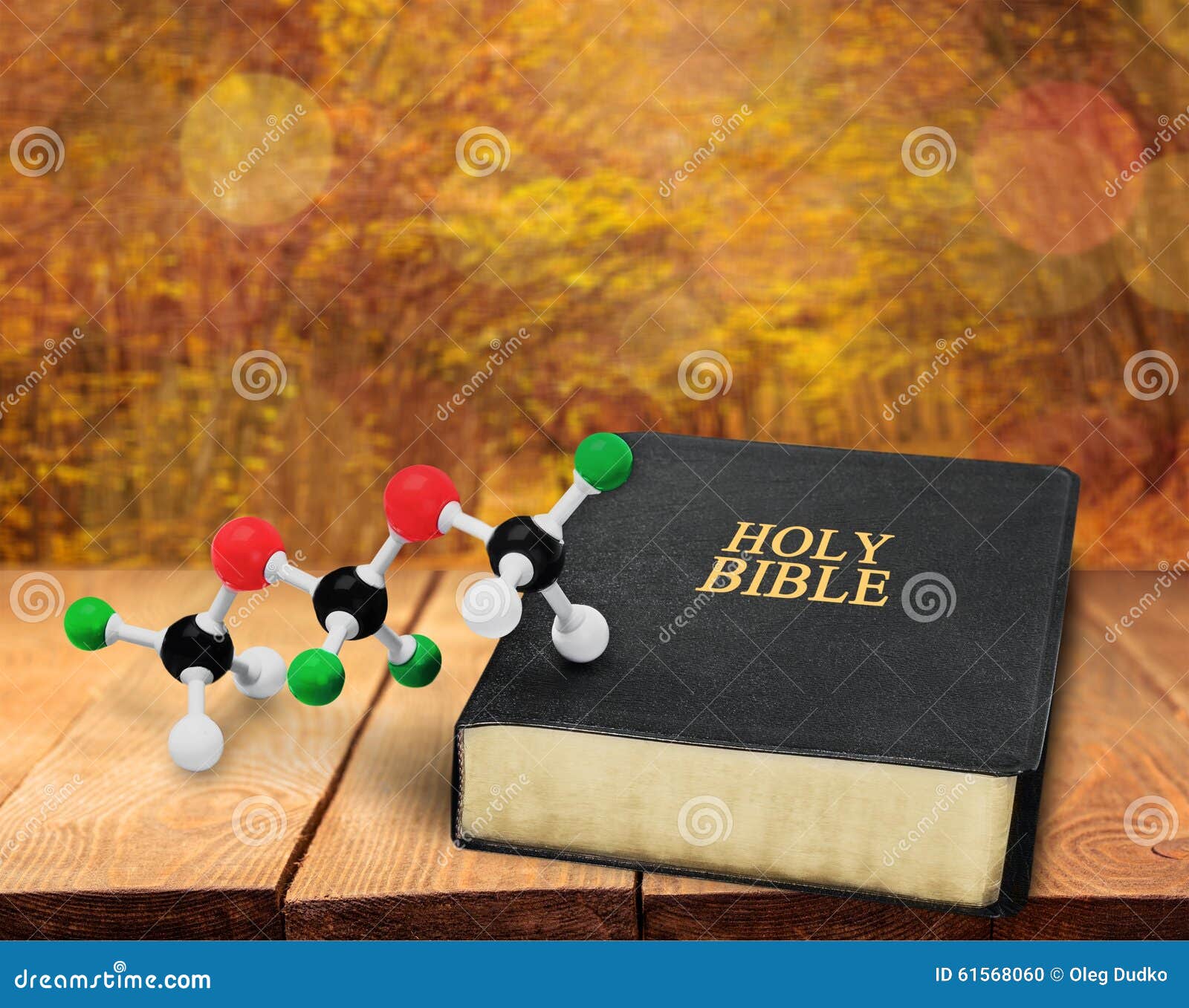 Creationism Vs Evolution. Stock Photography | CartoonDealer.com #214705244