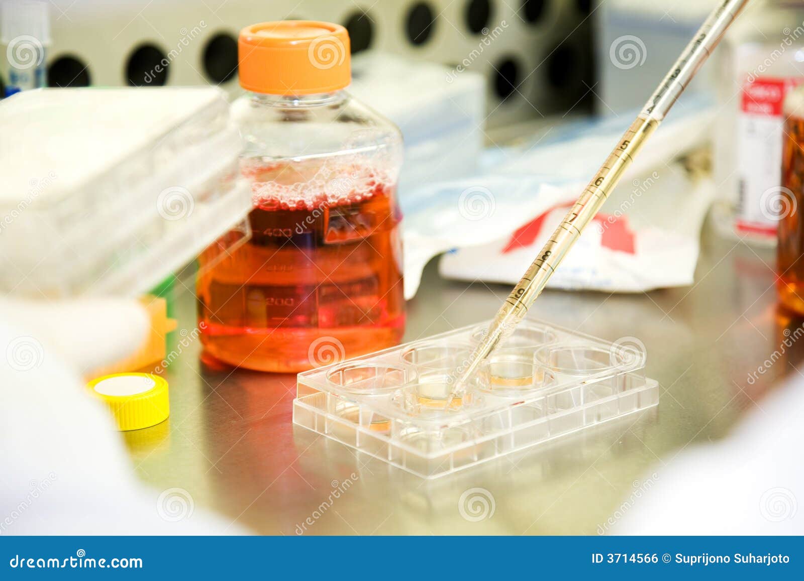 Science research stock photo. Image of healthcare, industry - 3714566