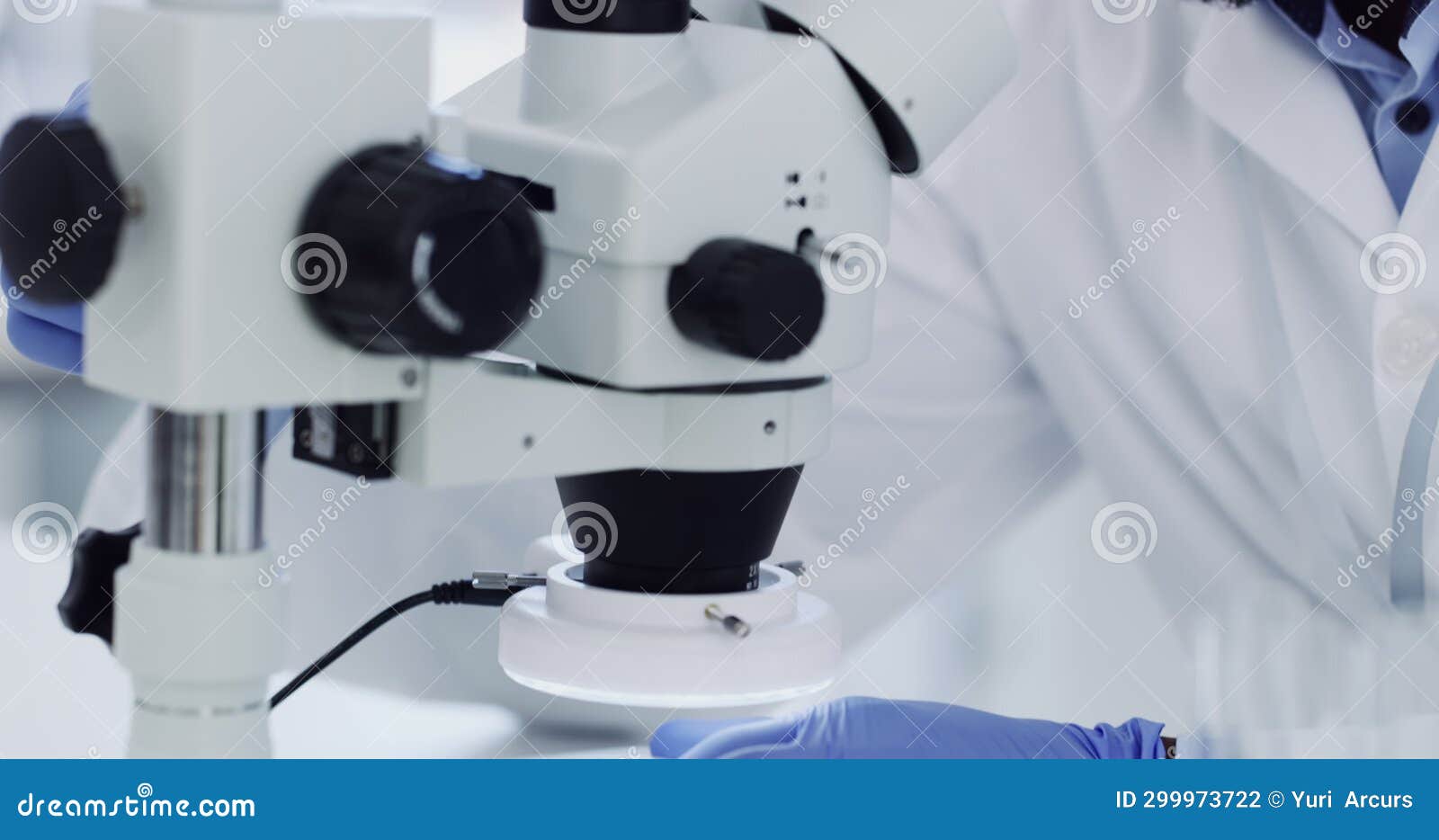 Science, Research and Man with Microscope, Leaves and Medical ...