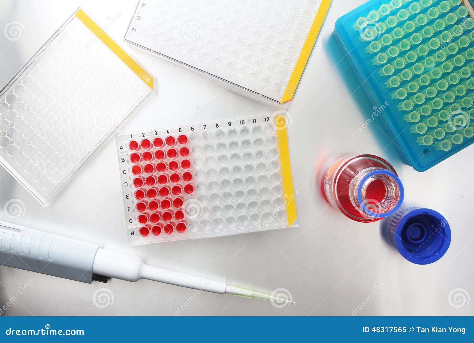 Science Research Plate with Samples Loaded Stock Image - Image of ...