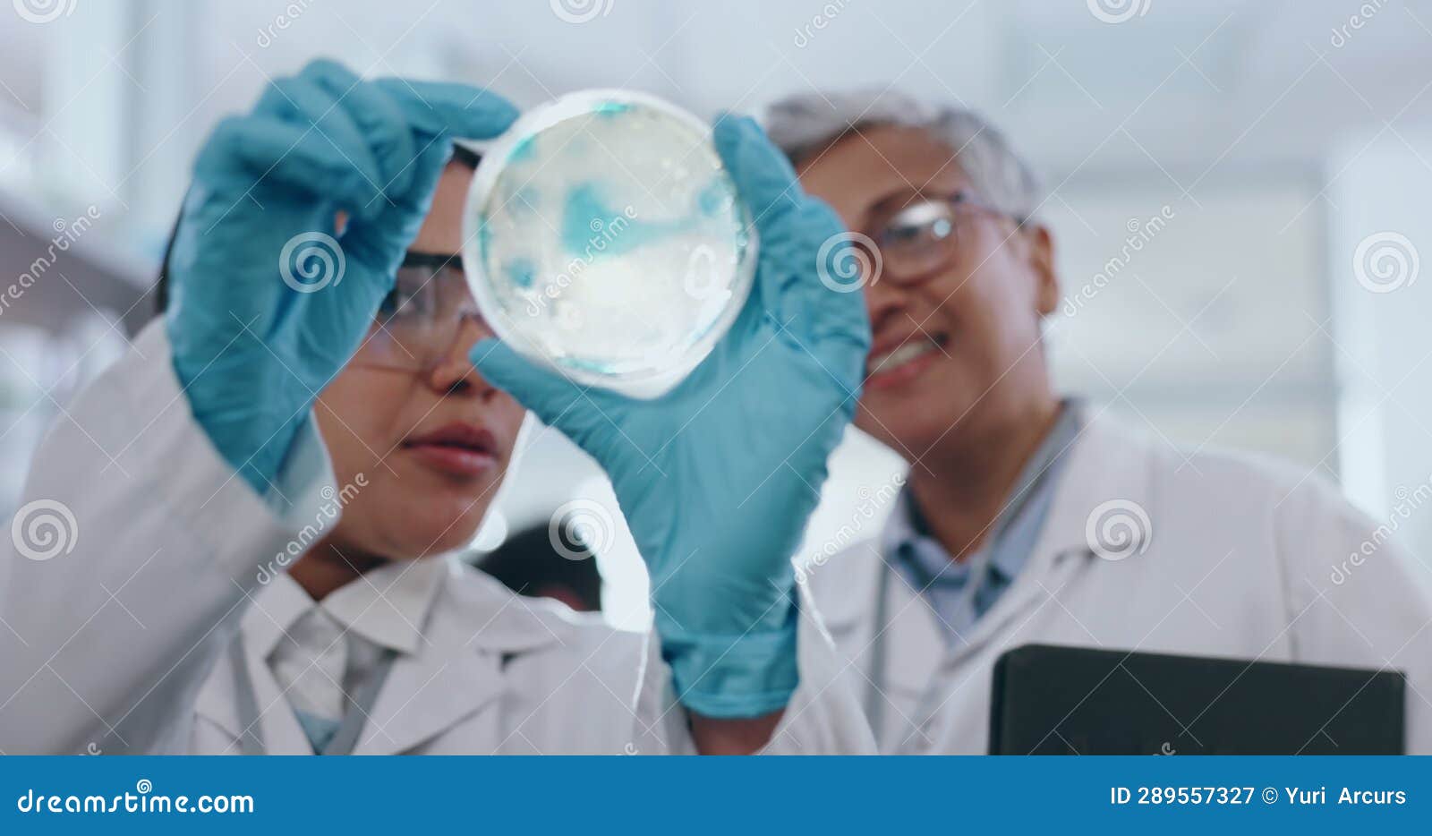 Science, Research and Professor with Scientist with Bacteria Sample in ...