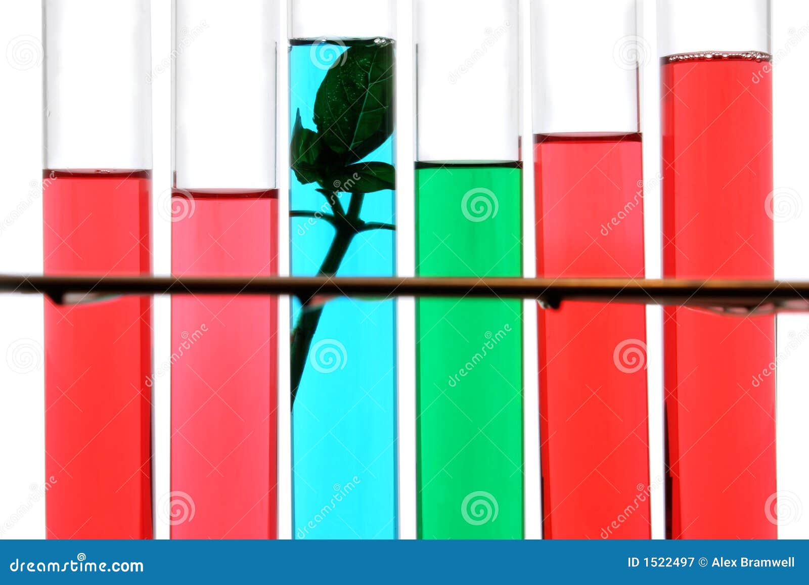 Science Still Life stock image. Image of leaf, genetically - 1522497