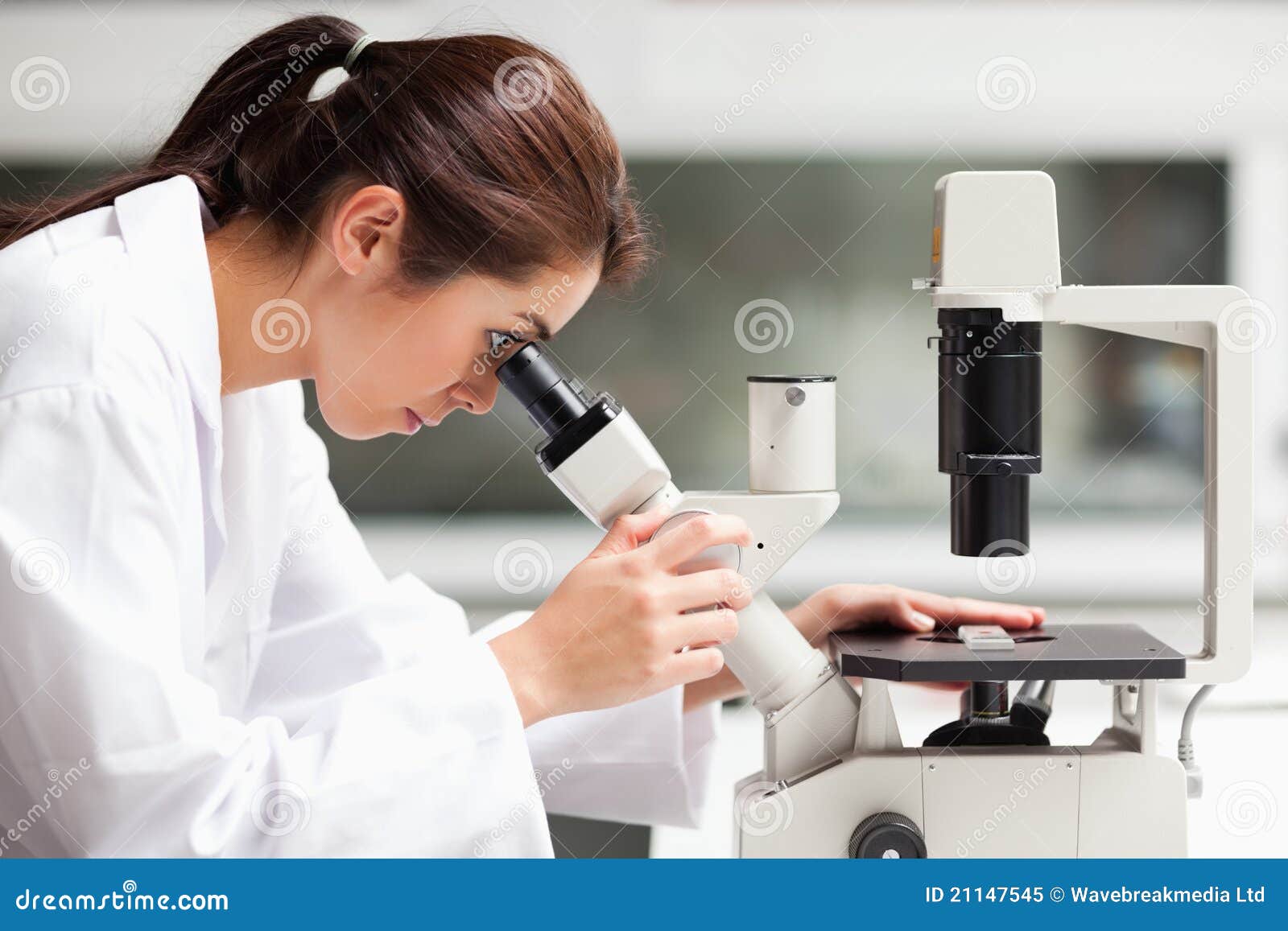 A Science Student Looking in a Microscope Stock Image - Image of ...