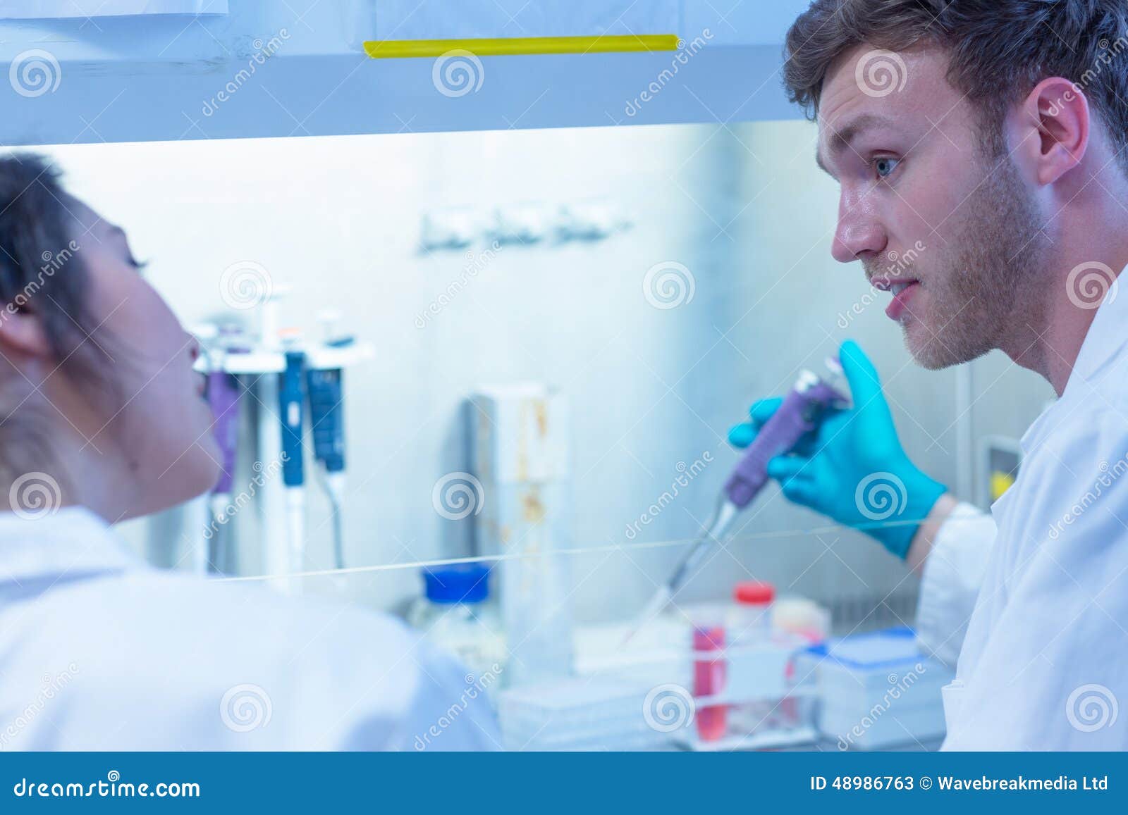 Science Student Using Pipette in the Lab Stock Image - Image of higher ...