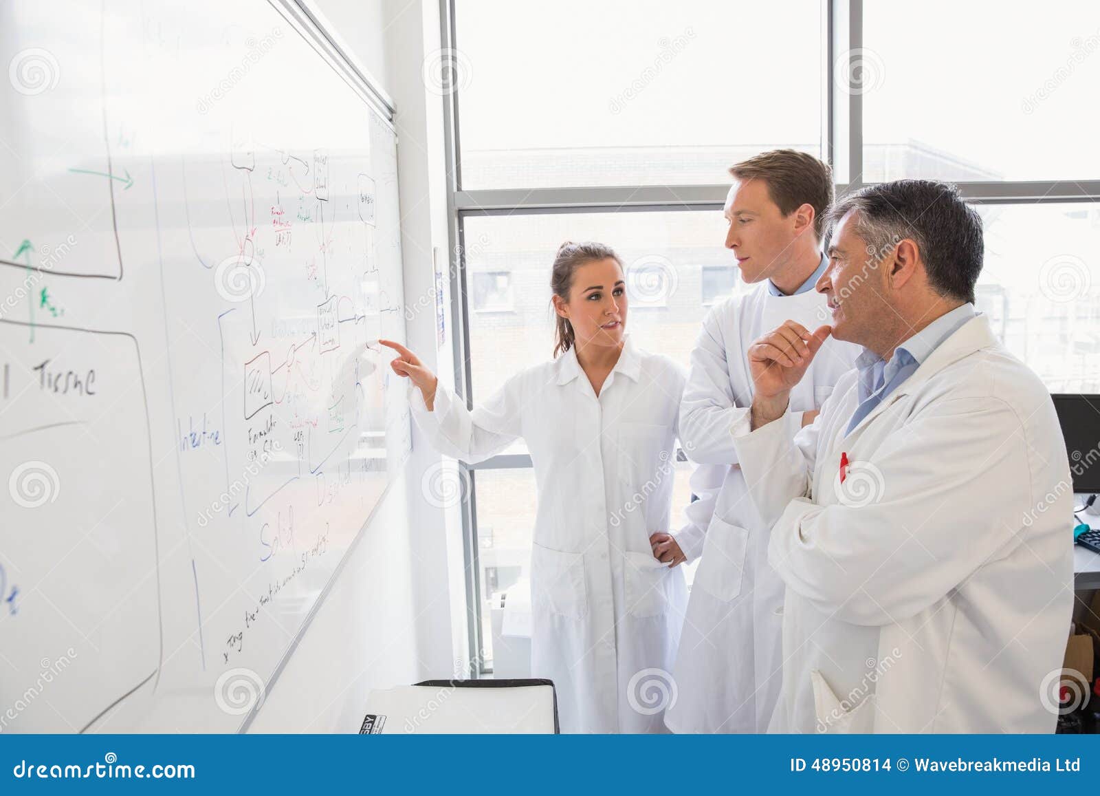 Science Students and Lecturer Looking at Whiteboard Stock Photo - Image ...