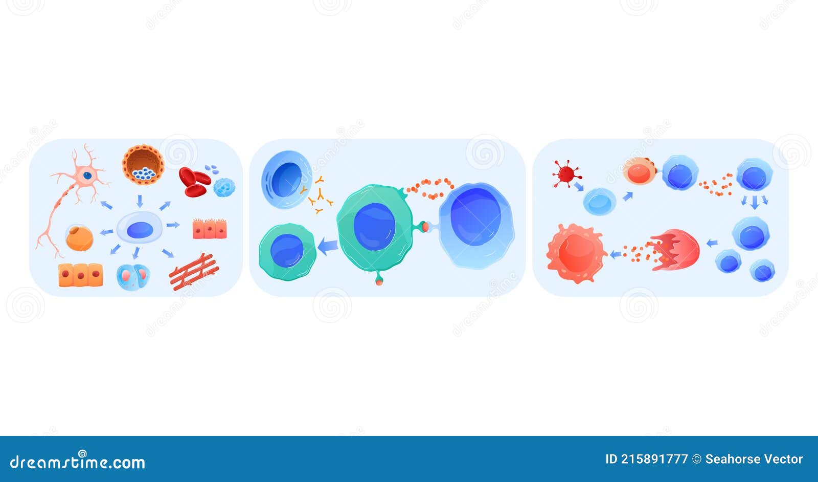 Science for Study Dna, Human Cell in Cut Under Microscope, Medical ...