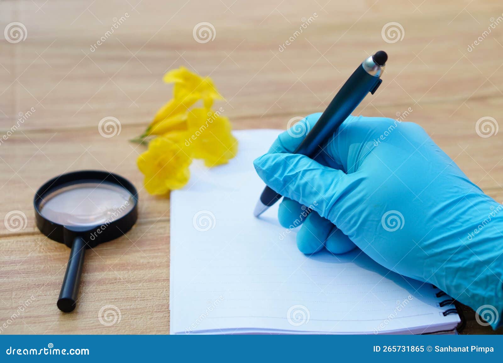 Science Subject, Project Work. Experiment, Education, Learning by Doing ...