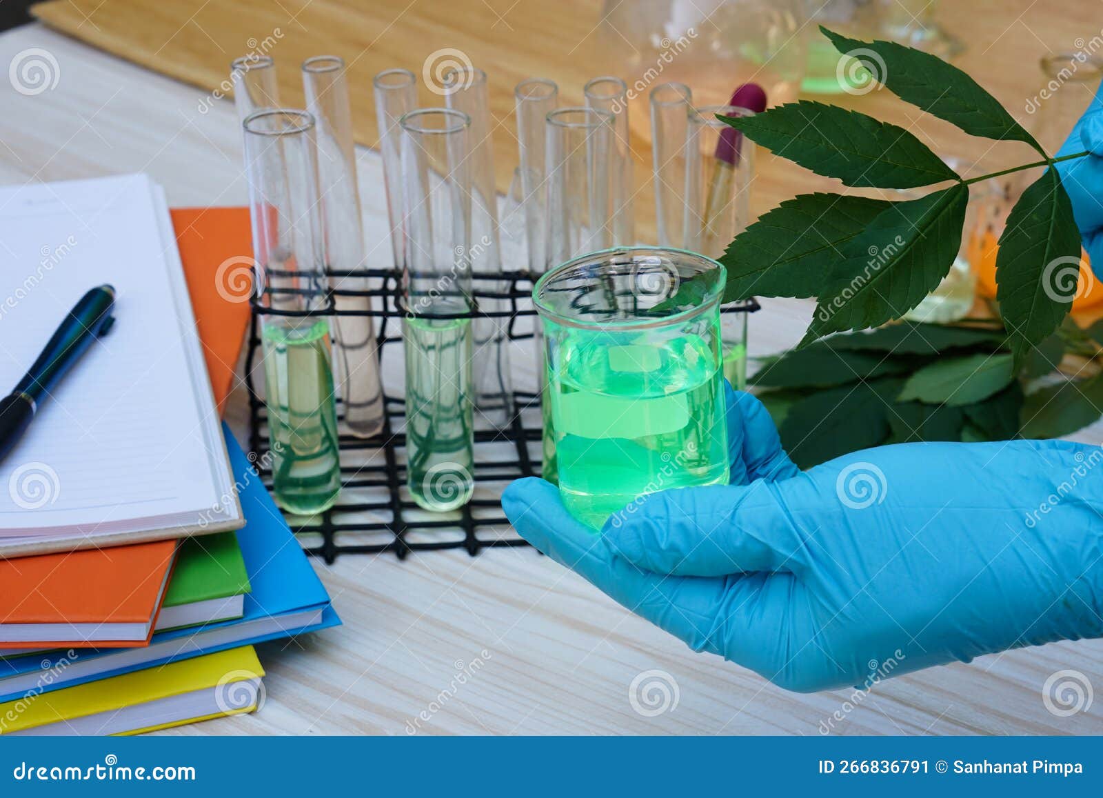 Science Subject, Project Work. Experiment, Education, Learning by Doing ...